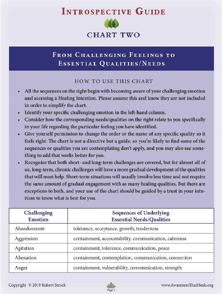 Introspective Guides - Awareness that Heals