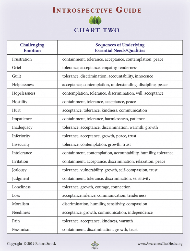 Introspective Guides - Awareness that Heals